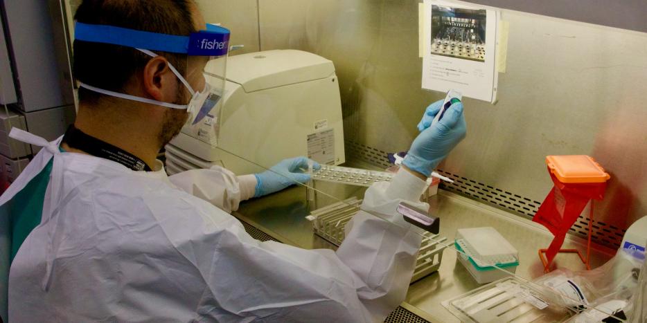 Kina er på vagt over for abekopper: Undgå at røre udlændinge | KNR