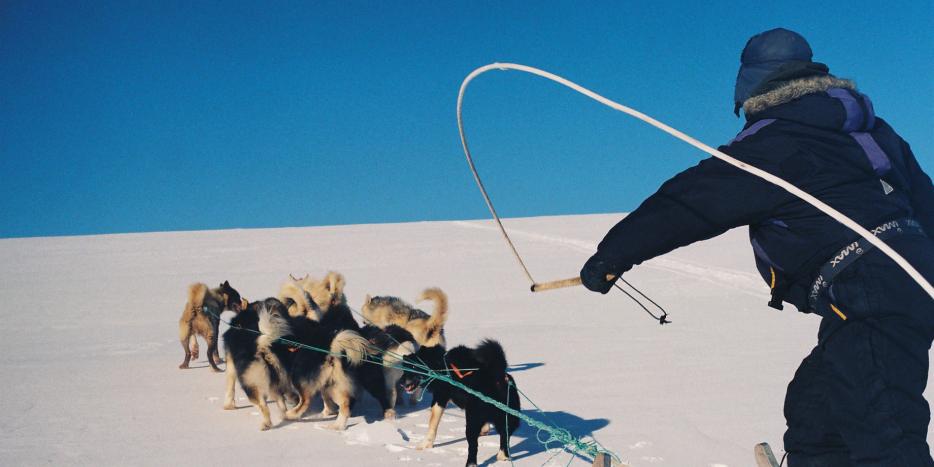 QIMMIT NAPPAATAAT Pinngitsaaliissummik kapineqartalernissaat ...